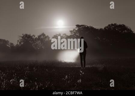 A person with a flashlight on a foggy meadow, with a flashlight in the ...