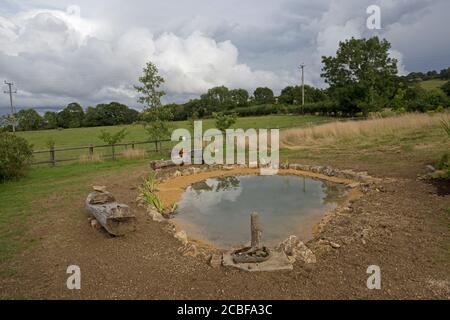 Recently constructed large garden pond with butyl liner, Cotswolds, UK ...