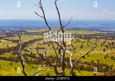 Country Landscape Mt Alexander Regional Park Victoria Australia Stock ...