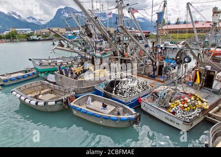 Drag net of a seine fishing vessel full of Yellowfin tuna (Thunnus ...