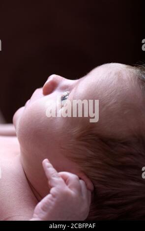 New born baby boy 5 weeks old sleeping in crib cot nursery bedroom ...