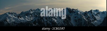 Olympic Mountain Range at sunset and alpine wildflowers from Hurricane ...