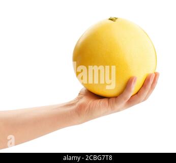 Pomelo fruit in a hand on a white background Stock Photo - Alamy