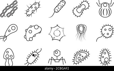 icon set of bacterias shapes and bacteriophage over white background ...