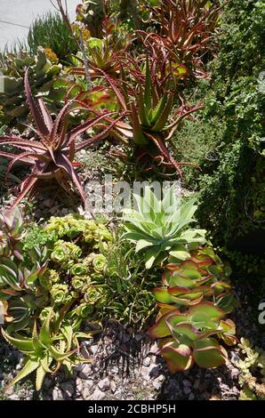 Hollywood, California, USA 13th August 2020 A general view of ...