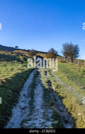 A pathway on Kingston Ridge in the South Downs Stock Photo - Alamy