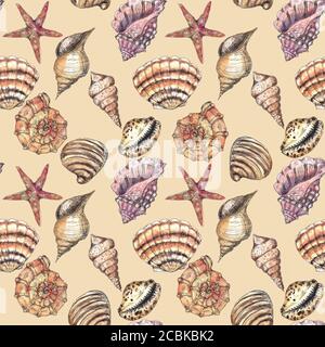 Watercolor sea shell seamless pattern. Hand drawn seashells texture ...