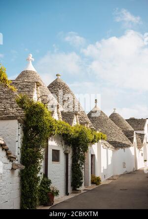 A row of traditional dry-stone houses with conical roofs, each crowned ...