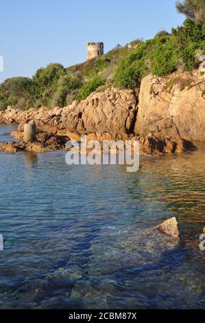 Genoese tower of Sagone in southern Corsica Stock Photo - Alamy