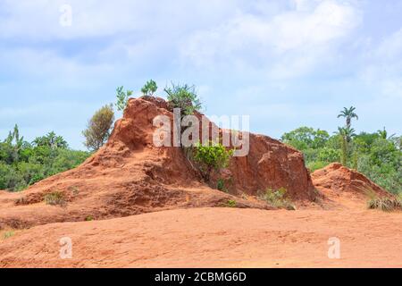 The Red Desert, allegedly the world's smallest Desert, close to Port ...