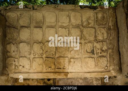 Mayan glyphs in Temple 22, Copan Archaeological Park, UNESCO World ...