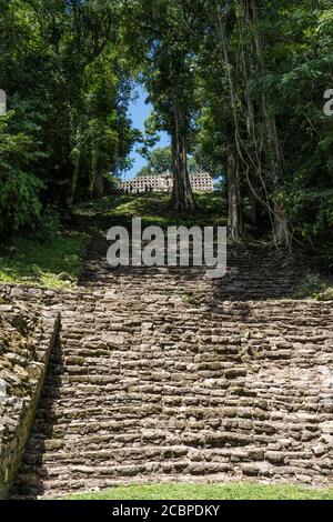 The roof comb of Temple 33 in the ruins of the Mayan city of Yaxchilan ...