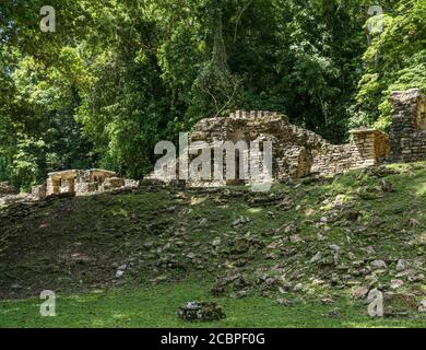 Structure 23. Yaxchilan Mayan ruins. Chiapas, Mexico. Vintage image ...