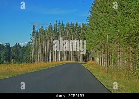 mountain road, Livradois-Forez, Puy-de-Dome, Auvergne, Massif-Central ...