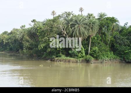 Riverbank errosion or river bank failure due to tidal wave of the ...