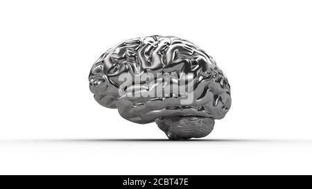 Realistic rendering of the human brain anatomy - three dimensional ...