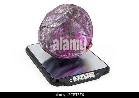 Kitchen Scales with Cabbage. 3D rendering isolated on white background ...