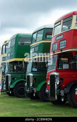 Line up of heritage buses. Trans Lancs Rally 2011 Stock Photo - Alamy