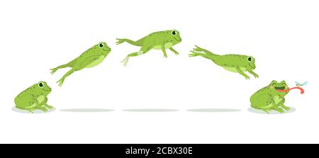 Frog jumping animation. Various keyframes for green animal Stock Vector ...