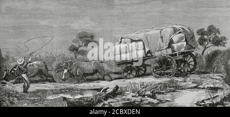 First Boer War 1880-1881 also called Transvaal War: General Sir George ...