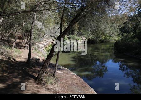 The Lane Cove River seen from Riverside Walk, Lane Cove National Park ...