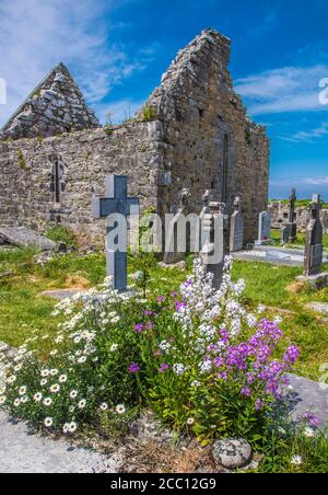 The Seven Churches, Inishmore, Aran Islands, Co Galway, Ireland Stock ...