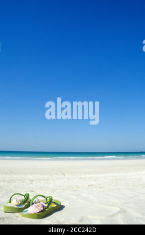 VAE, Dubai, Jumeirah Beach, shells in bathing shoes Stock Photo - Alamy