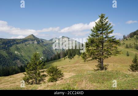 Austria, View of alp pasture with Osterhorngruppe mountain at Postalm ...