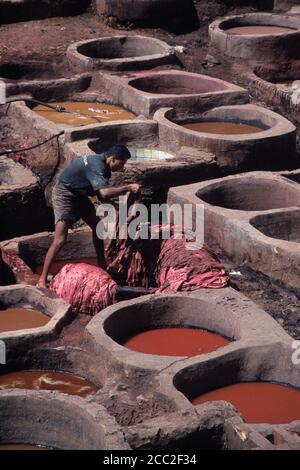 Traditional Moroccan leather tanning process in the ancient tanneries ...