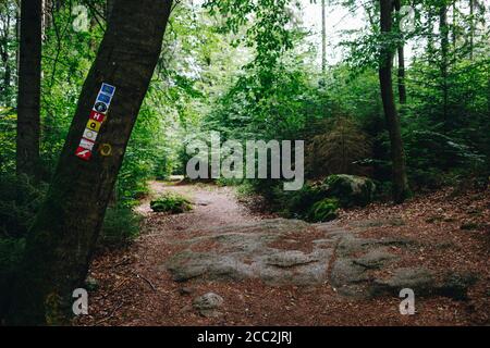 Scenic shot of the forest from Luisenburg Rock Labyrinth in ...