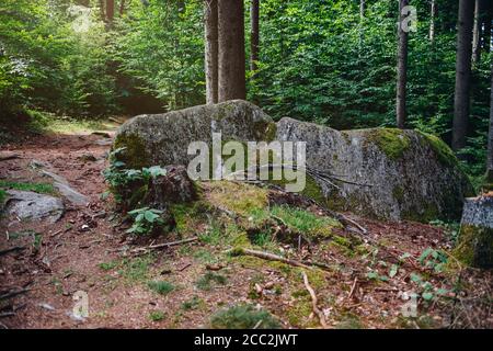 Scenic shot of the forest from Luisenburg Rock Labyrinth in ...