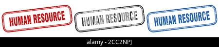 human resource stamp. human resource rectangular stamp isolated on ...