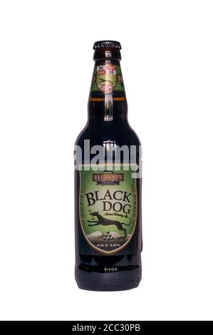 Bottle of Elgoods Black dog ale Stock Photo - Alamy