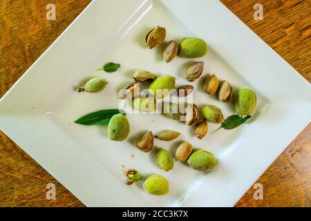 Different almond varieties in various stages of ripeness from a farm in ...