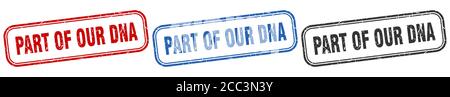 square grunge blue part of our dna stamp Stock Vector Image & Art - Alamy