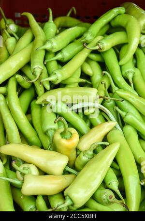 Sliced pickled jalapenos in a white ceramic bowl on a rustic painted ...