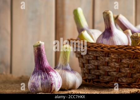 Fresh aromatic garlic on a wooden background. Fragrant spice for ...
