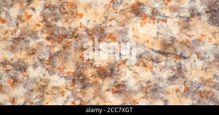 Light beige granite with brown inclusions and veins, close-up of ...
