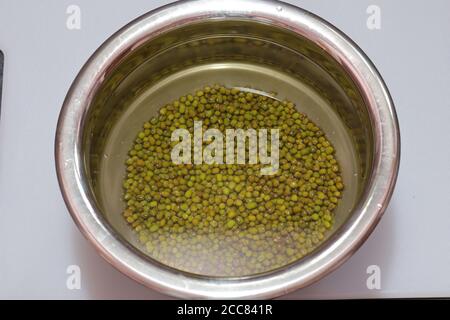 Fresh germinated green gram beans in white background Stock Photo - Alamy