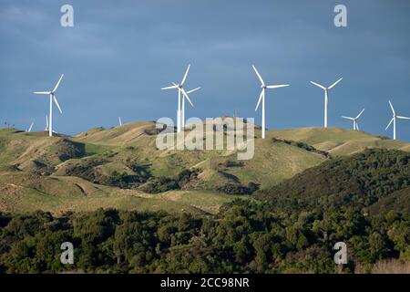 Wind Turbines on hillside, Ashurst, Manawatu, North Island, New Zealand ...
