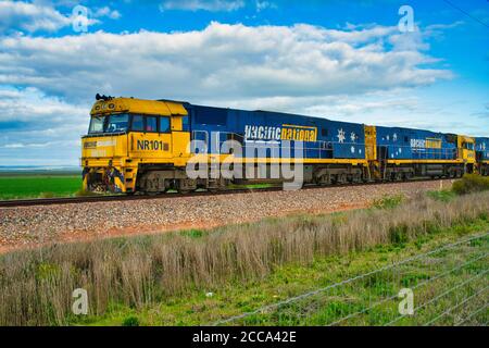 Pacific national, freight transportation, Australian train, railway in ...