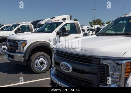 Super Dually Trucks