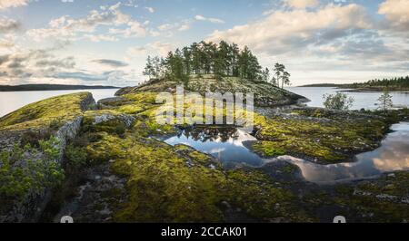 Small lake in the forest during summer day, Lake surrounded by green ...