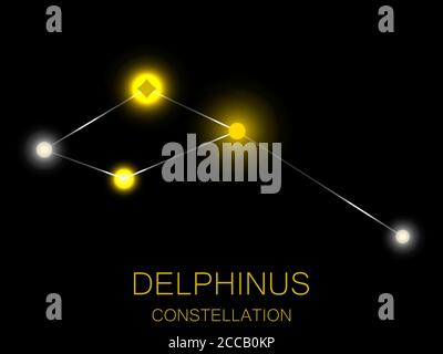 Delphinus (The Dolphin) constellation, vector illustration with the ...