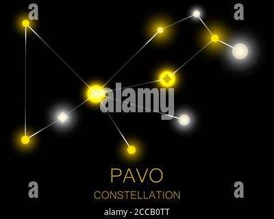 Pavo (The Peacock) constellation, vector illustration with the names of ...