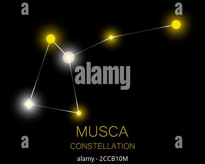Musca constellation. Starry night sky. Cluster of stars, galaxy. Deep ...