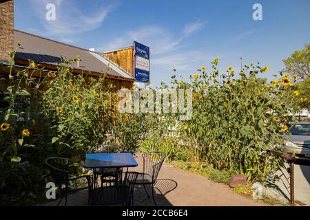 Baker, AUG 13, 2020 - Sign of the Stargazer Inn Stock Photo - Alamy