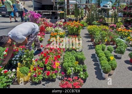 Tourists admire colorful flowers in Jinhua City, east China's Zhejiang ...
