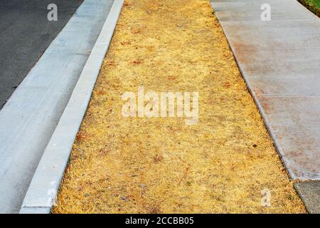 Neglected land area between street and sidewalk. Poorly managed ...