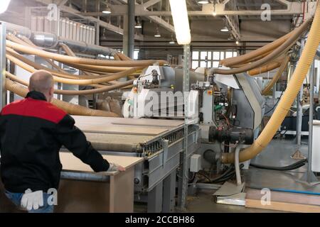 Anonymous man working with chipboard on factory Stock Photo - Alamy